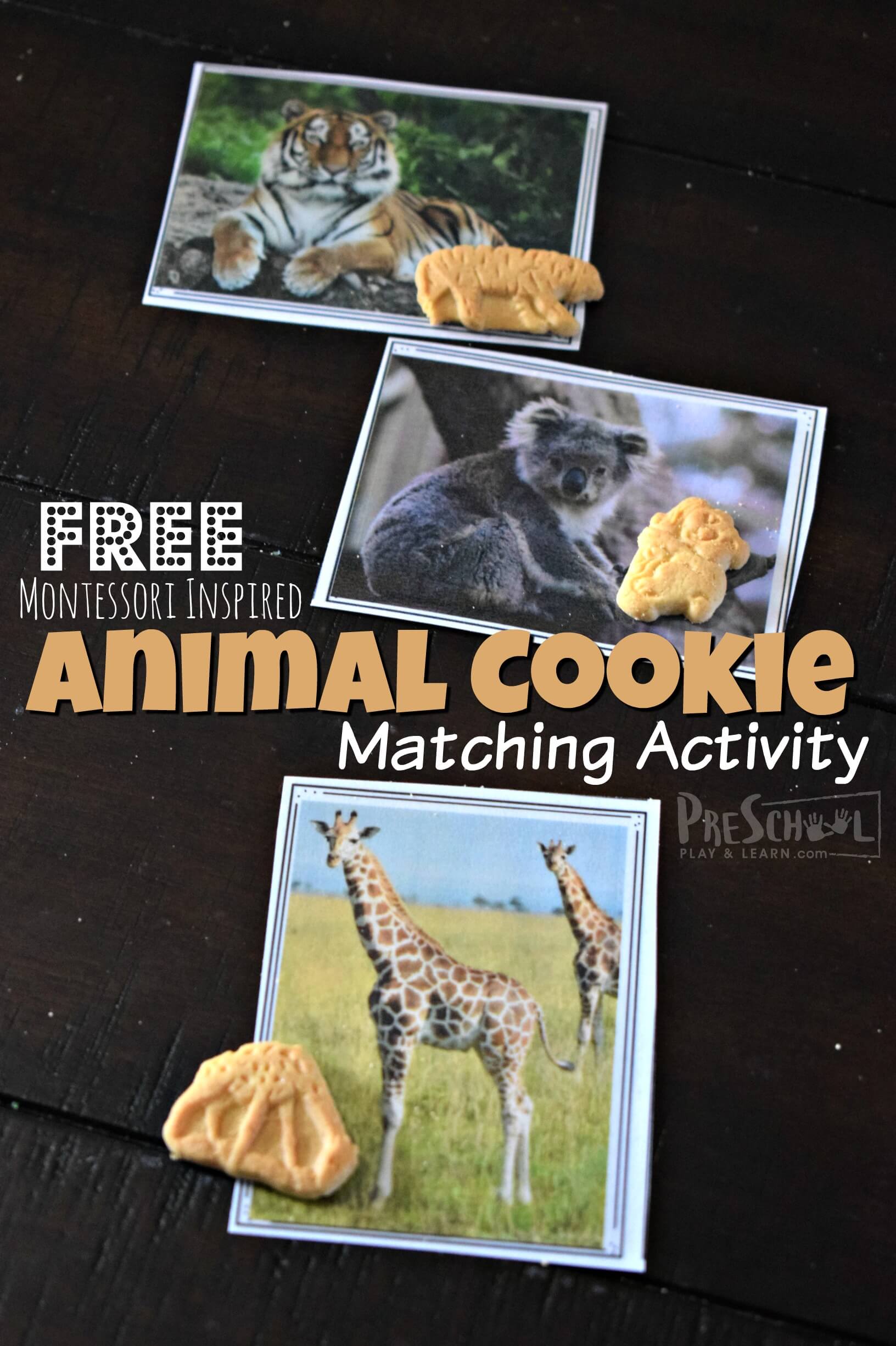 FREE Printable Animal Hidden Picture Worksheets
