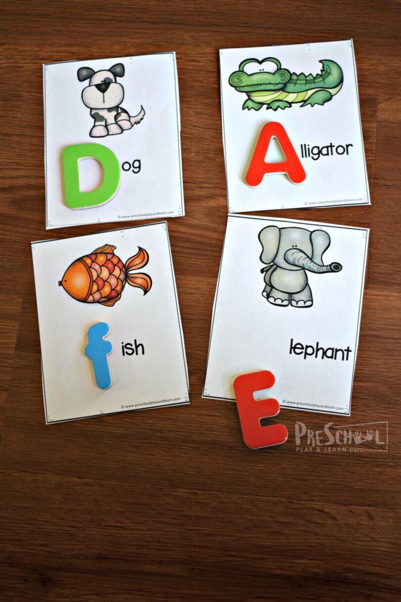 🦎🦁🐵 FREE Printable Beginning Alphabet Letter Sound Cards