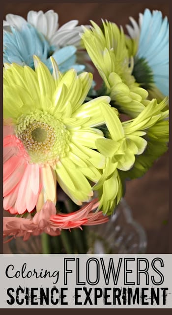 🌼 FREE Spring Flower Counting & Tracing Numbers 1-10 Worksheets