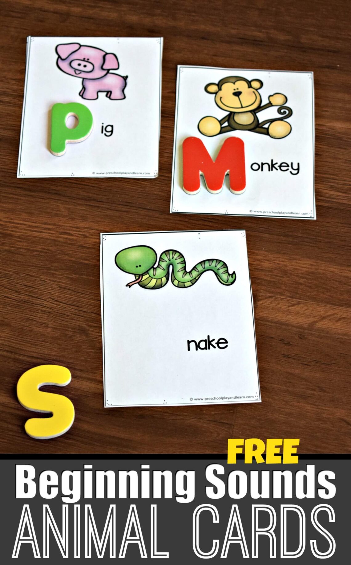 🦎🦁🐵 FREE Printable Beginning Alphabet Letter Sound Cards