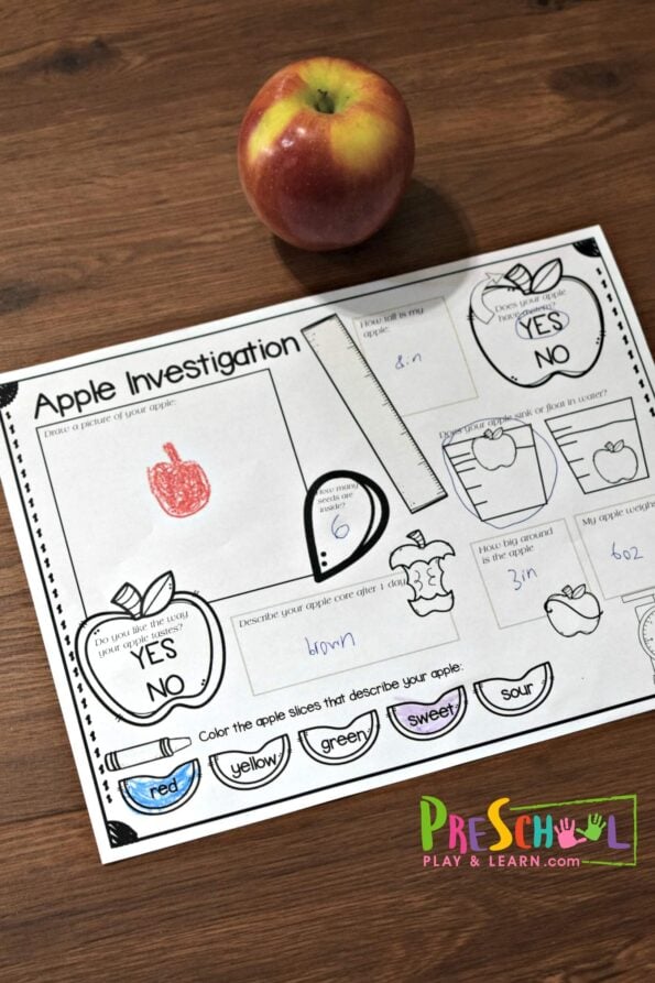 🍎 FREE Printable Apple Science Experiment Worksheet