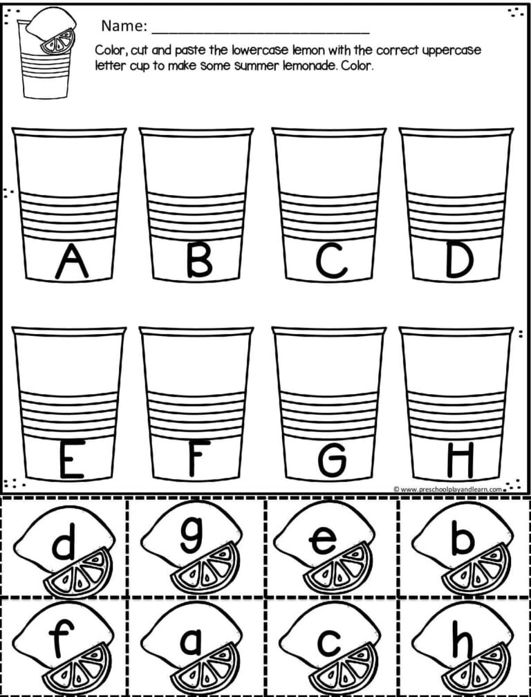 😎 FREE Summer Worksheets for Preschool