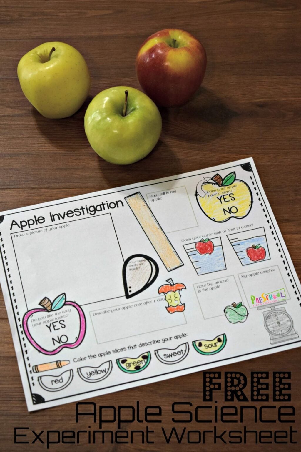 🧪 Preschool Science Activities, Experiments & FREE Worksheets