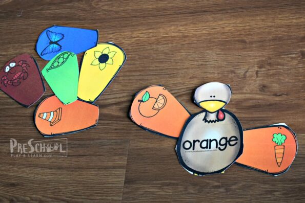 Turkey Colors - Free Printable Turkey Feathers Activity