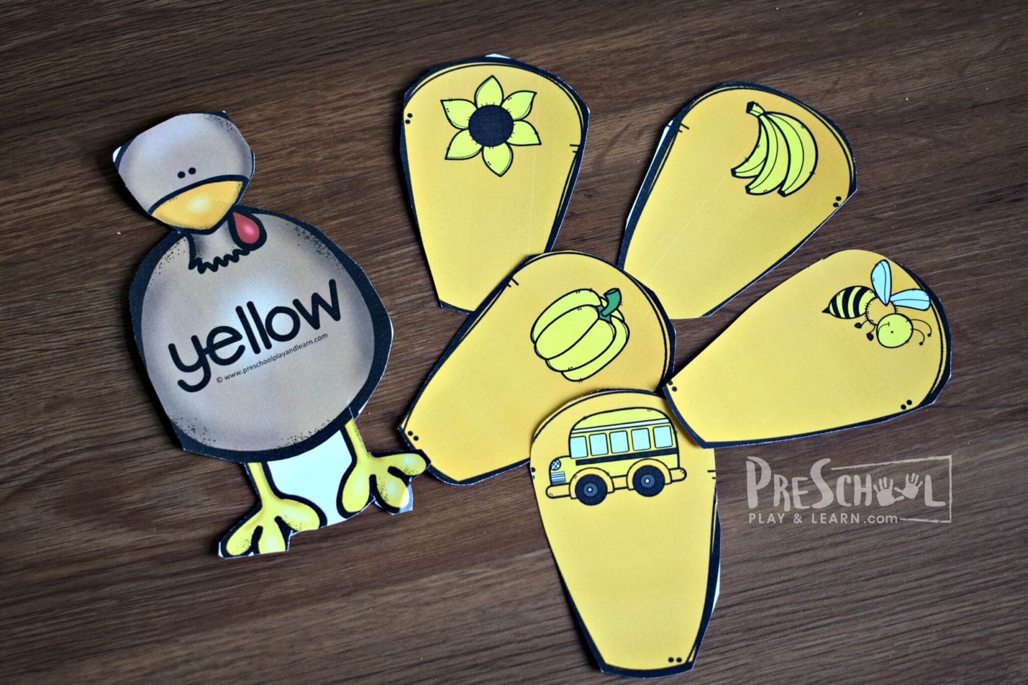 Turkey Colors - Free Printable Turkey Feathers Activity