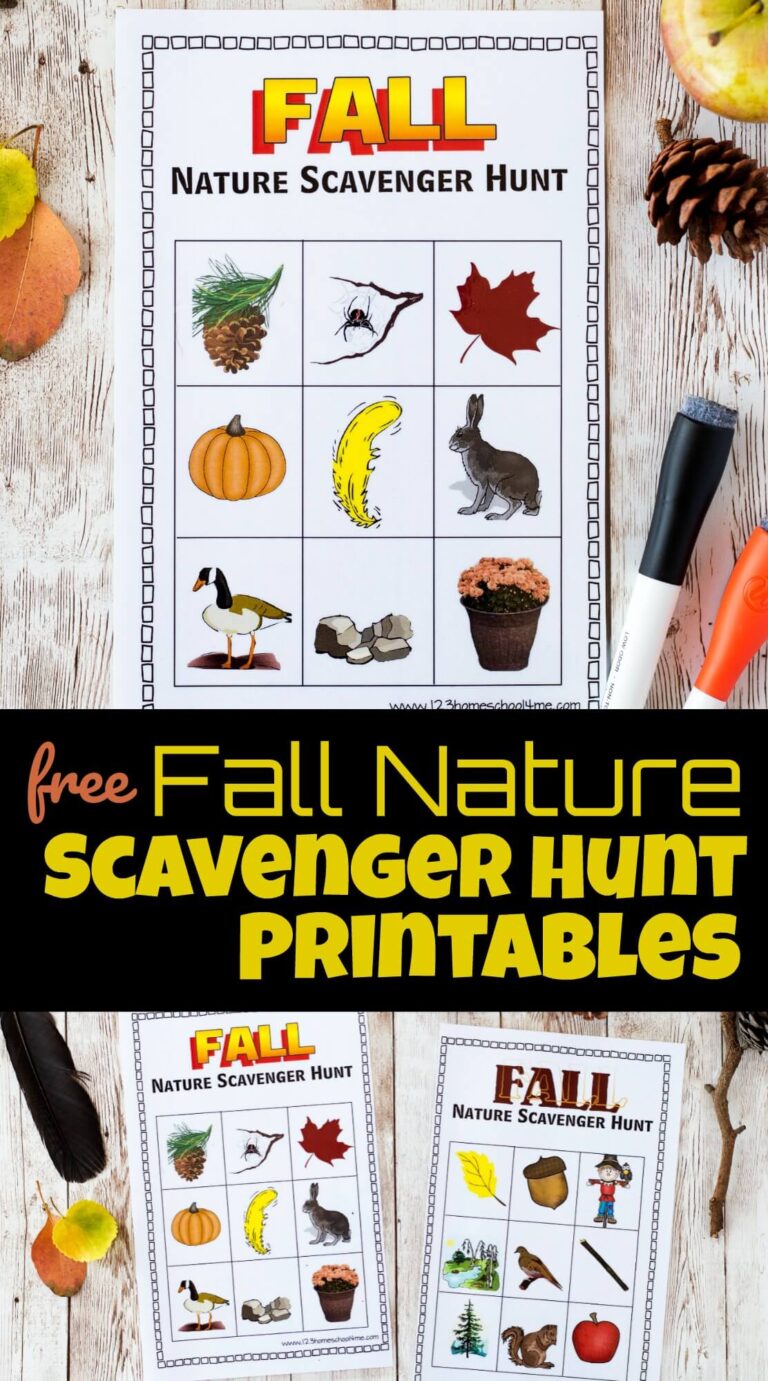 Color Outdoor Nature Scavenger Hunt for Preschoolers
