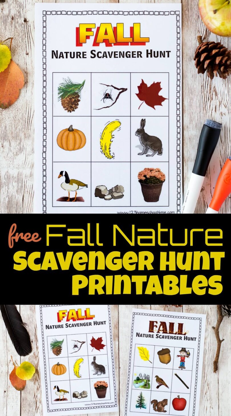 20 Fall Books for Preschoolers