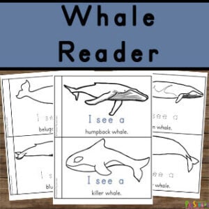 🐳 Whales for Kids Printable Emergent Reader for Preschool Science