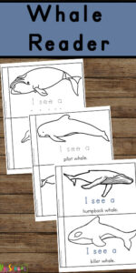 🐳 Whales for Kids Printable Emergent Reader for Preschool Science