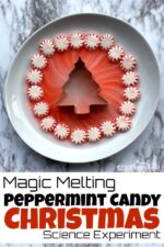 🎄 Beautiful Chromatography Christmas Tree Science Craft for Preschoolers