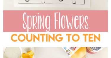 Counting Archives - Page 3 of 10 - Preschool Play and Learn