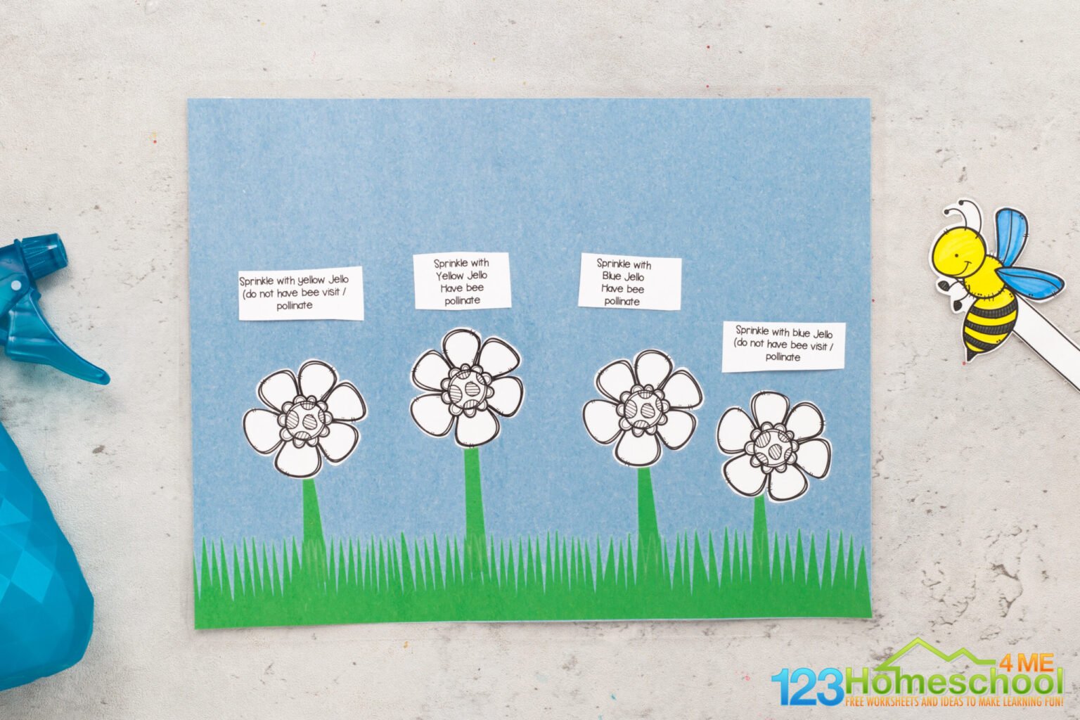 🐝 Simple Jello Bee Pollination Experiment for Kids