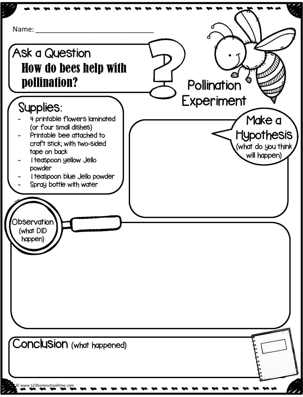 🐝 Simple Jello Bee Pollination Experiment for Kids