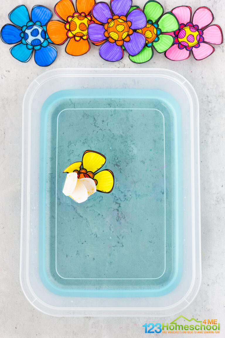 🌸 Simple Blooming Flowers Capillary Action Experiment (free template)