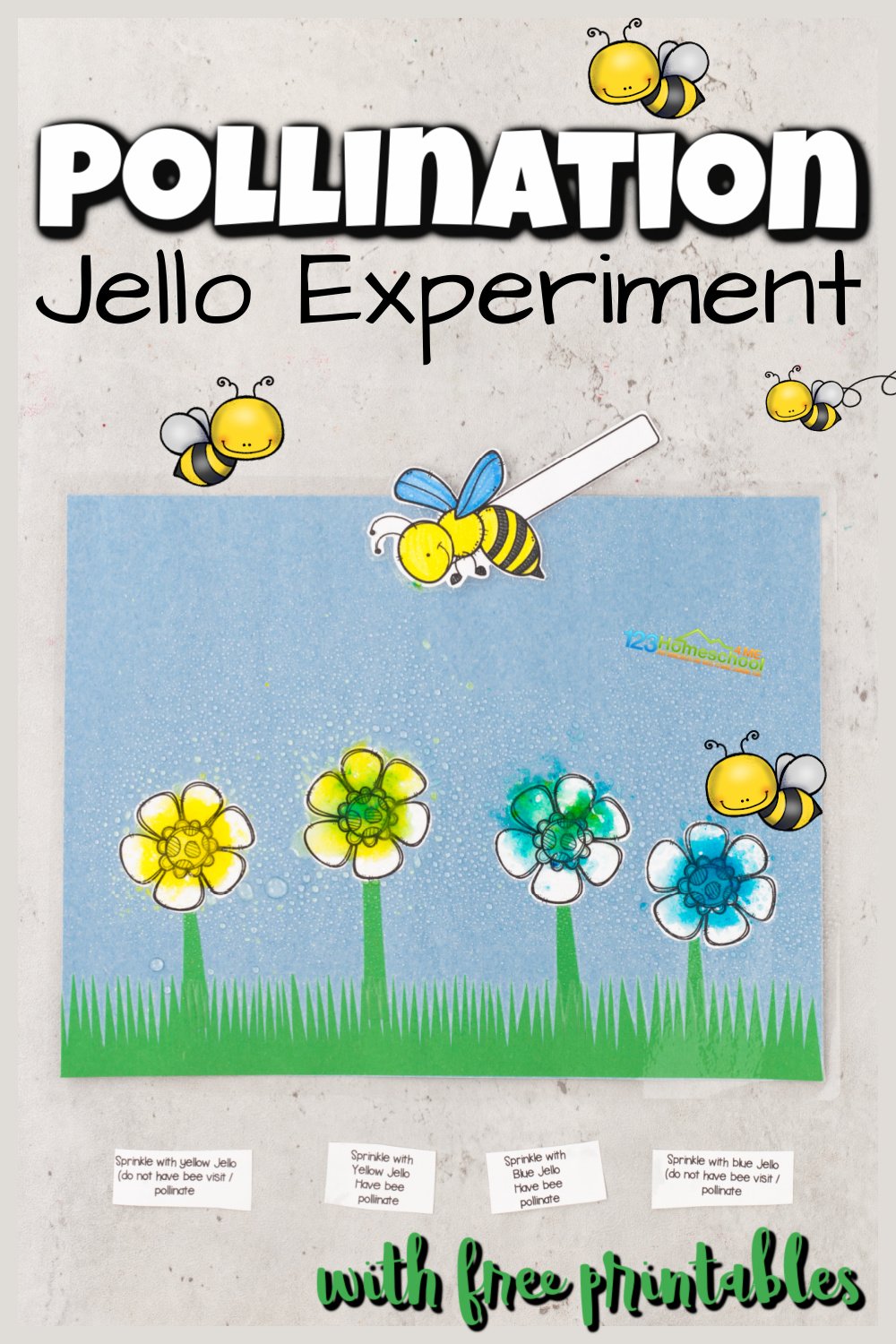 🐝 Simple Jello Bee Pollination Experiment for Kids