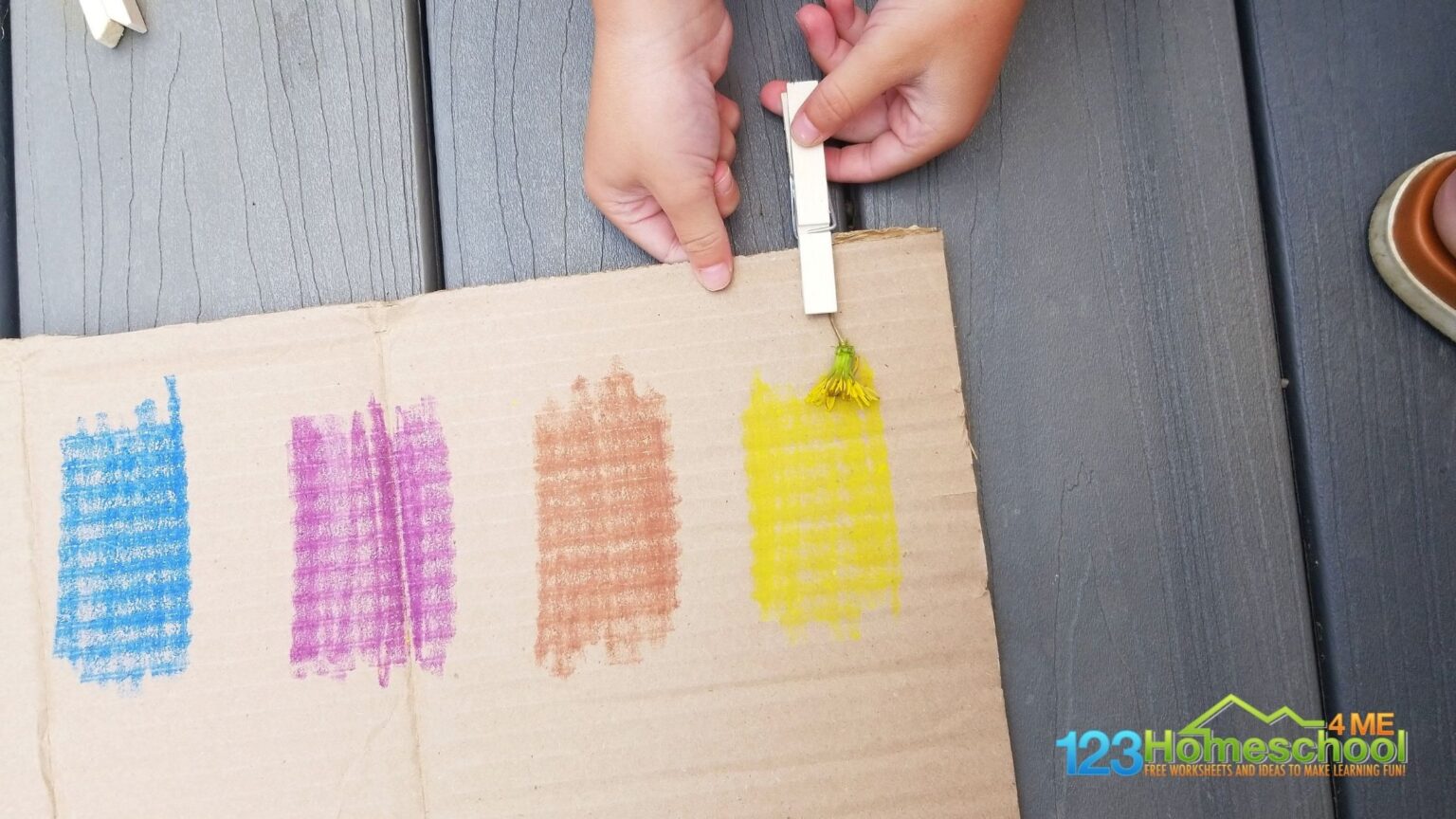 Color Outdoor Nature Scavenger Hunt for Preschoolers