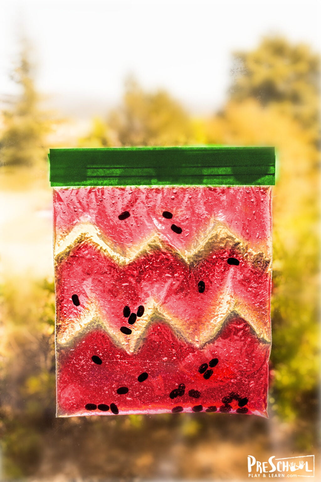 🍉 Watermelon Squish Bag Activities for Preschoolers