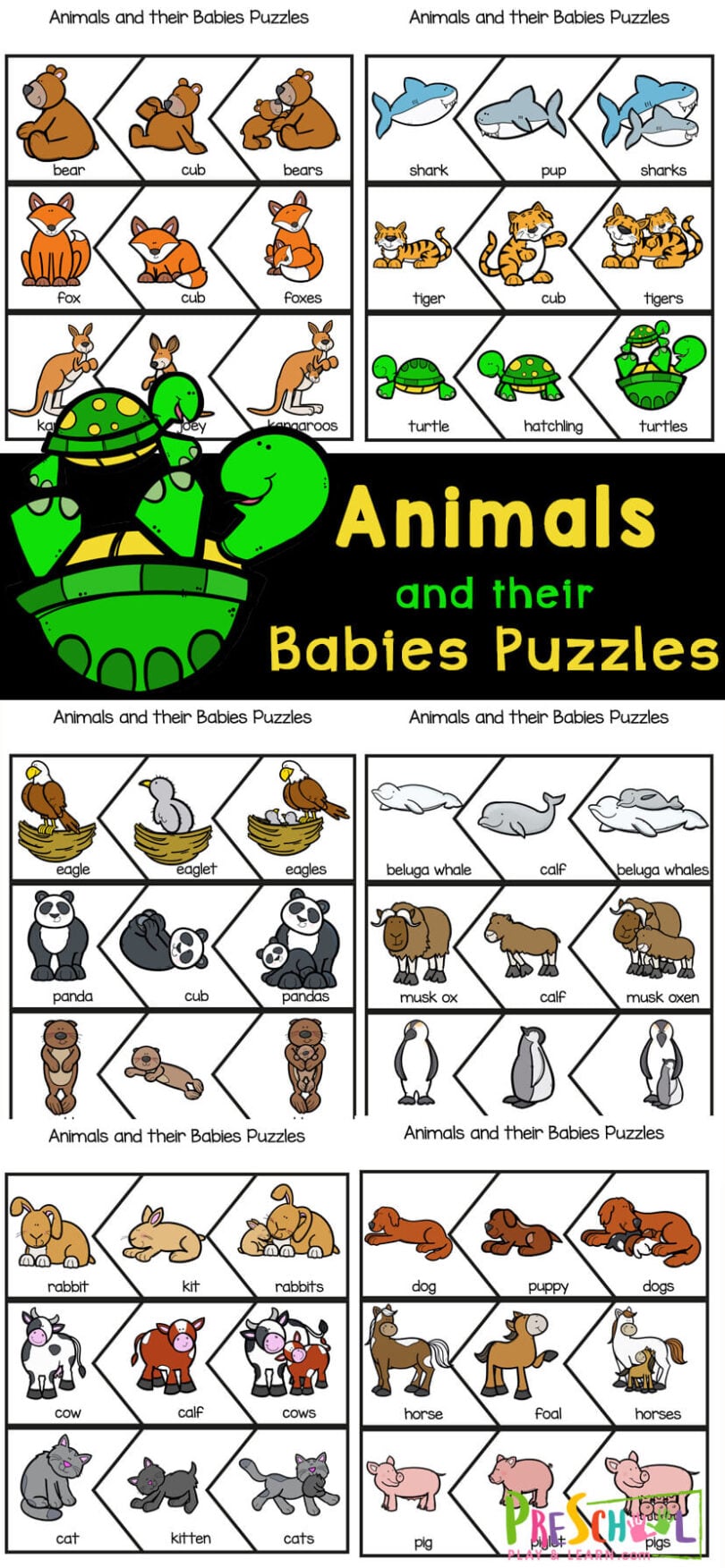 🐢 Animals with their Babies Names Printable Puzzle Activity for Kids