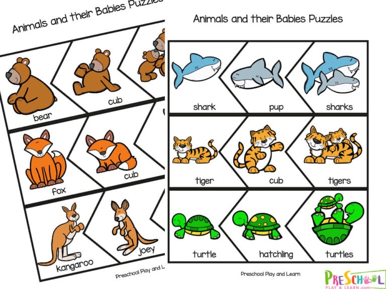 🐢 Animals with their Babies Names Printable Puzzle Activity for Kids