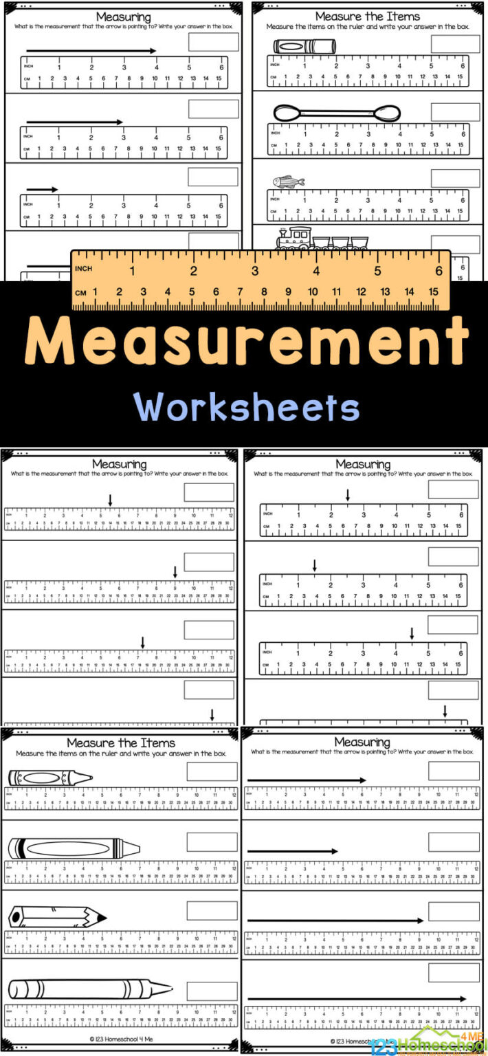 📏 FREE Back to School Worksheet Preschool Measurement Activities