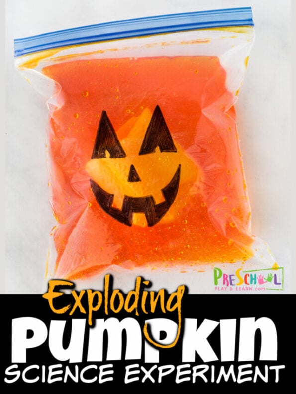 20+ Pumpkin Books for Preschoolers