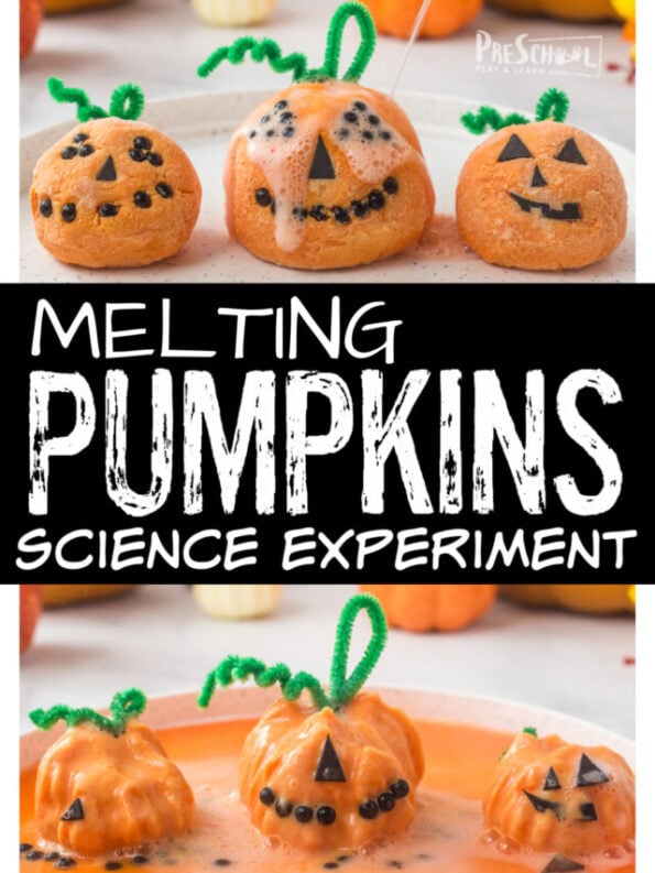 20+ Pumpkin Books for Preschoolers