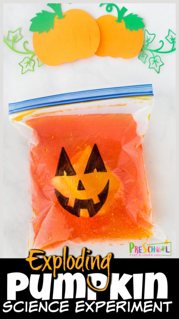 🎃 Exploding Jack-o-Lantern Pumpkin Science Experiment for October