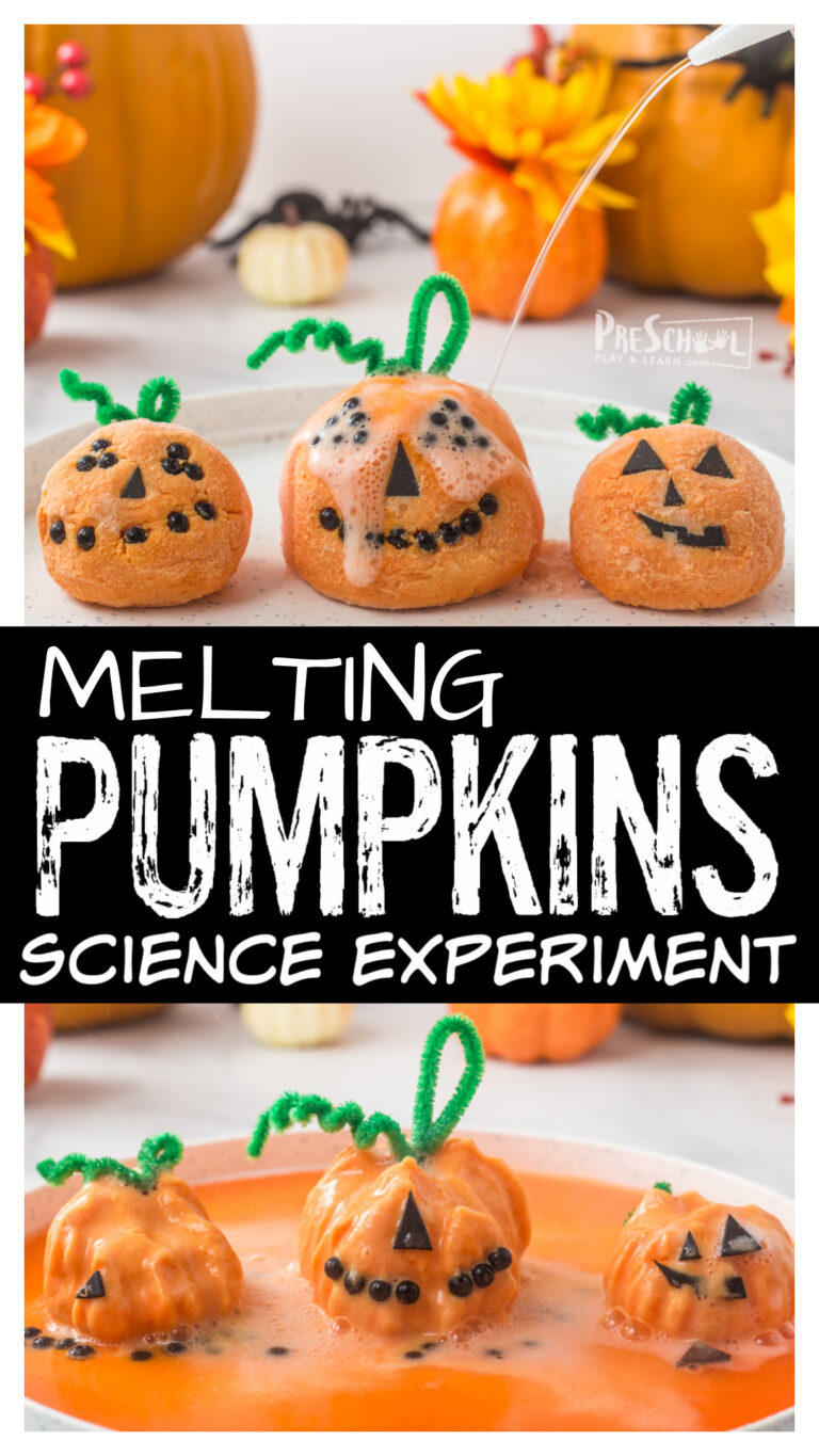 From Sight to Taste: Playful Five Senses Coloring Printables