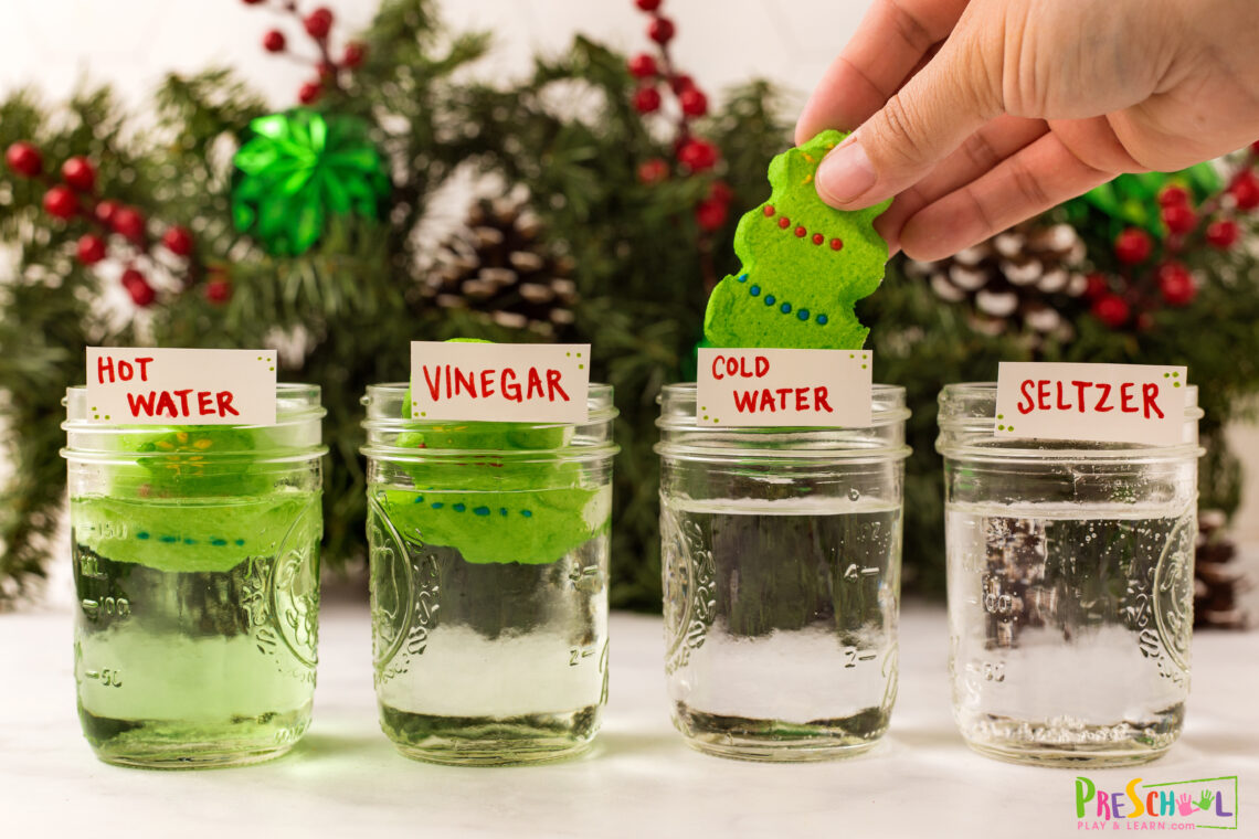 🎄 Christmas Tree Science Experiment Dissolving Peeps Activities