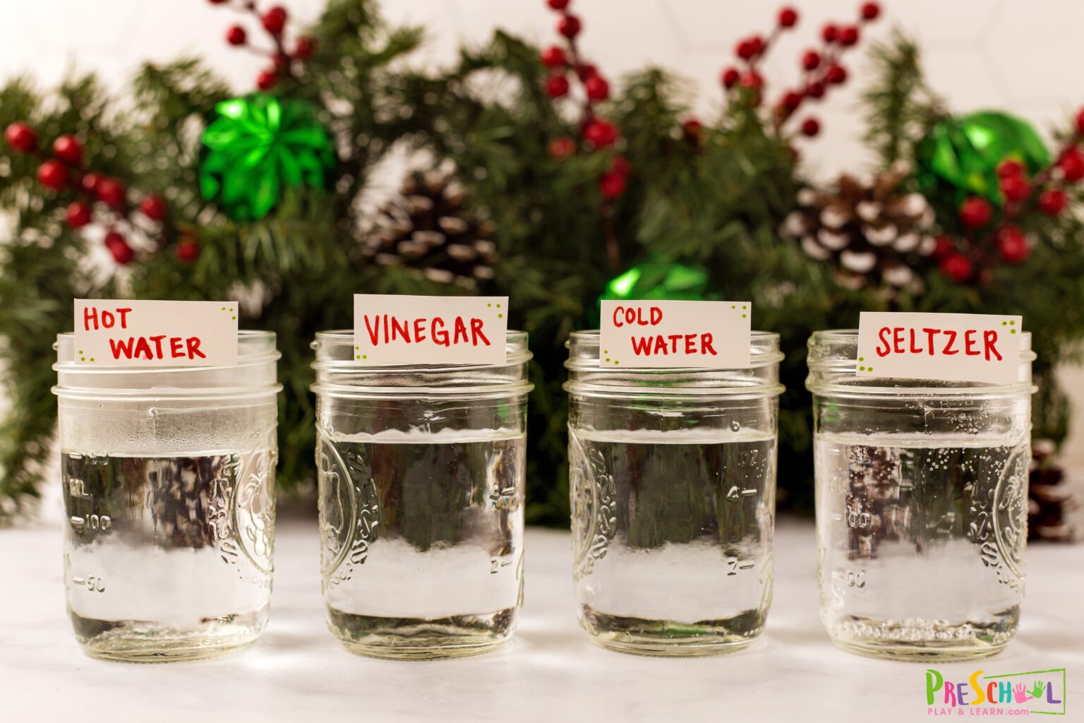 🎄 Christmas Tree Science Experiment Dissolving Peeps Activities