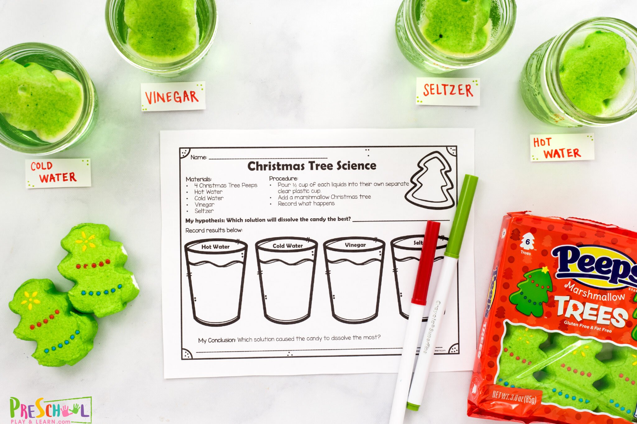 🎄 Christmas Tree Science Experiment Dissolving Peeps Activities