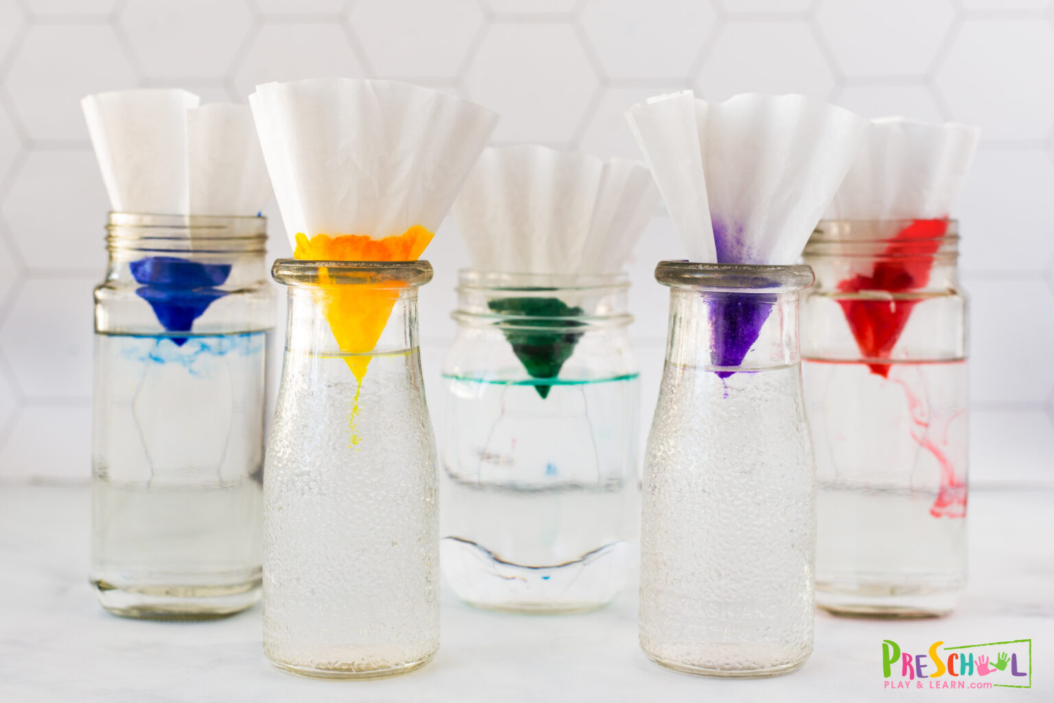 🎄 Beautiful Chromatography Christmas Tree Science Craft for Preschoolers