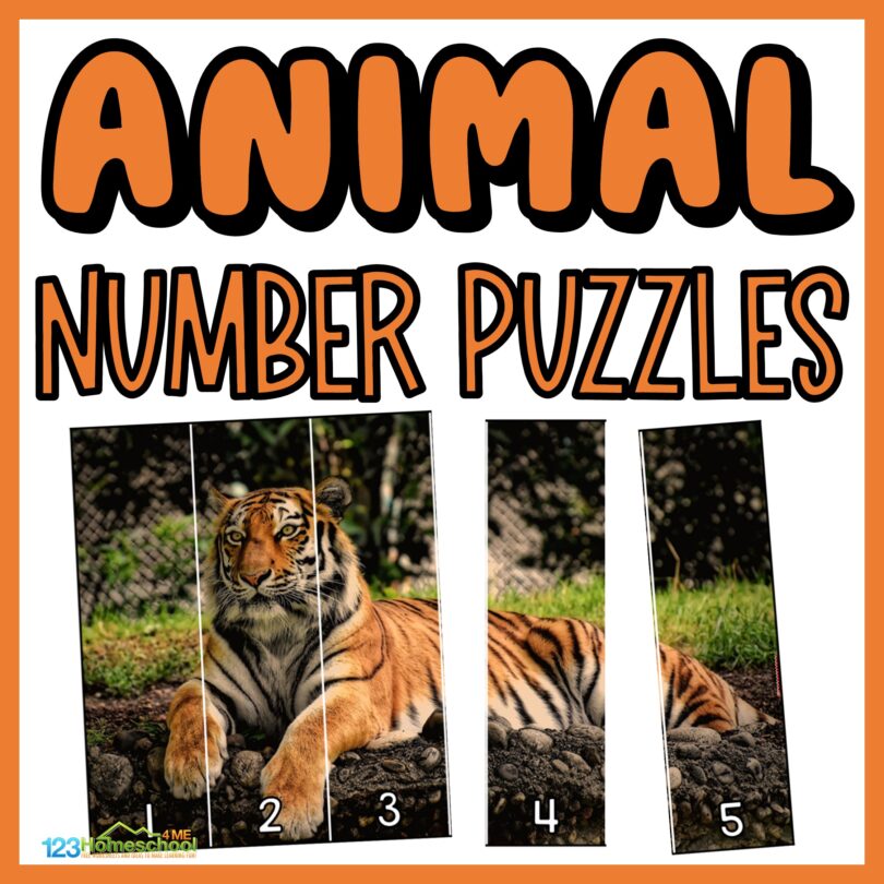 🦓🦒🦍 FREE Printable Zoo Animal Number Puzzles