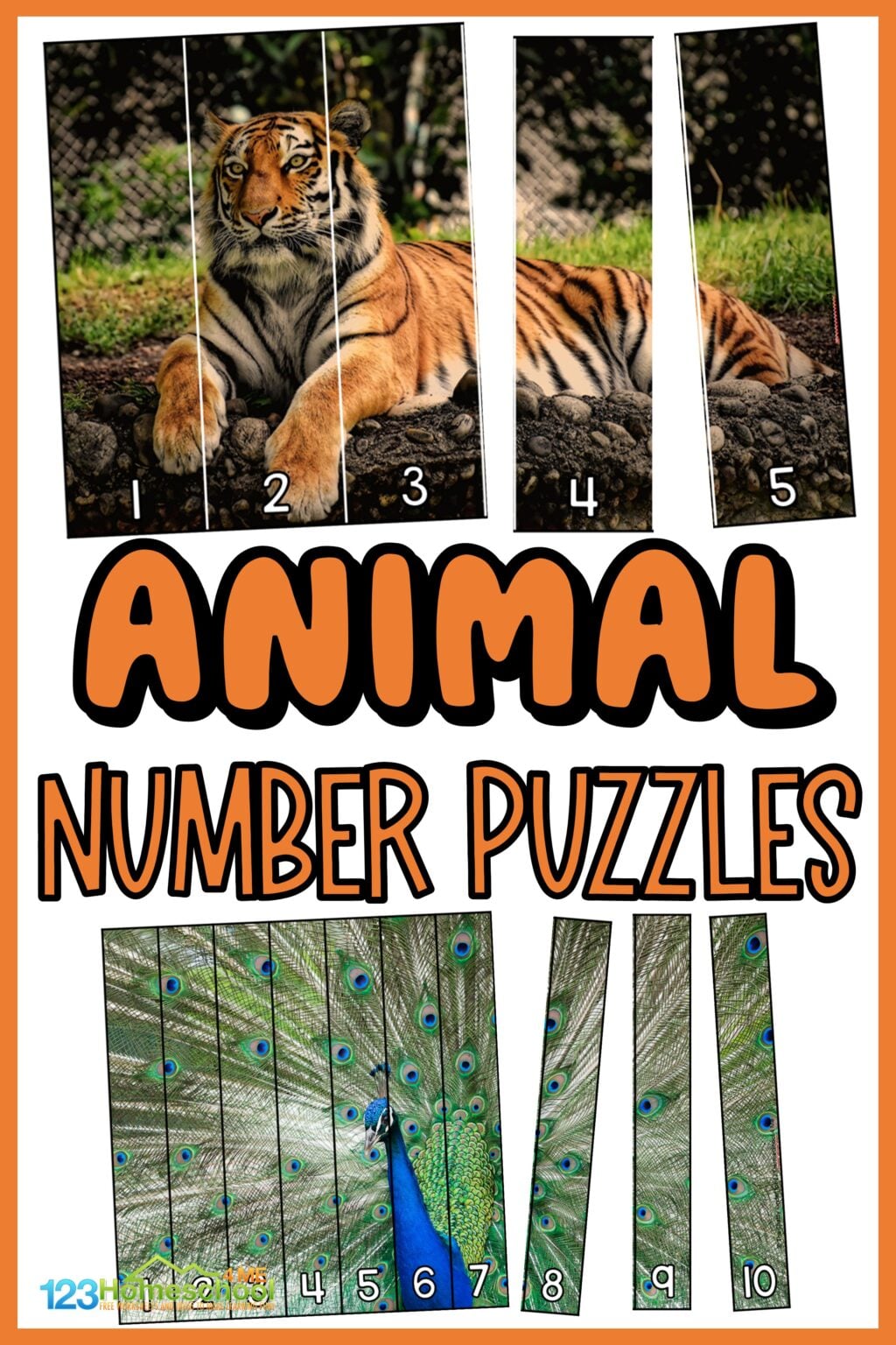 🐼 FREE Printable Zoo Animals Color by Number Worksheets