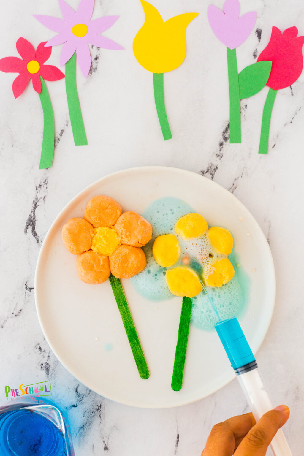 🌸 Flower Science Activity for Preschoolers