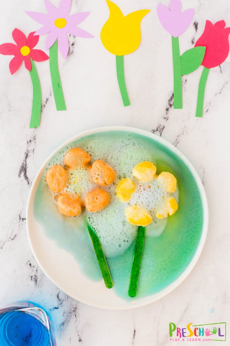 🐝 Simple Jello Bee Pollination Experiment for Kids