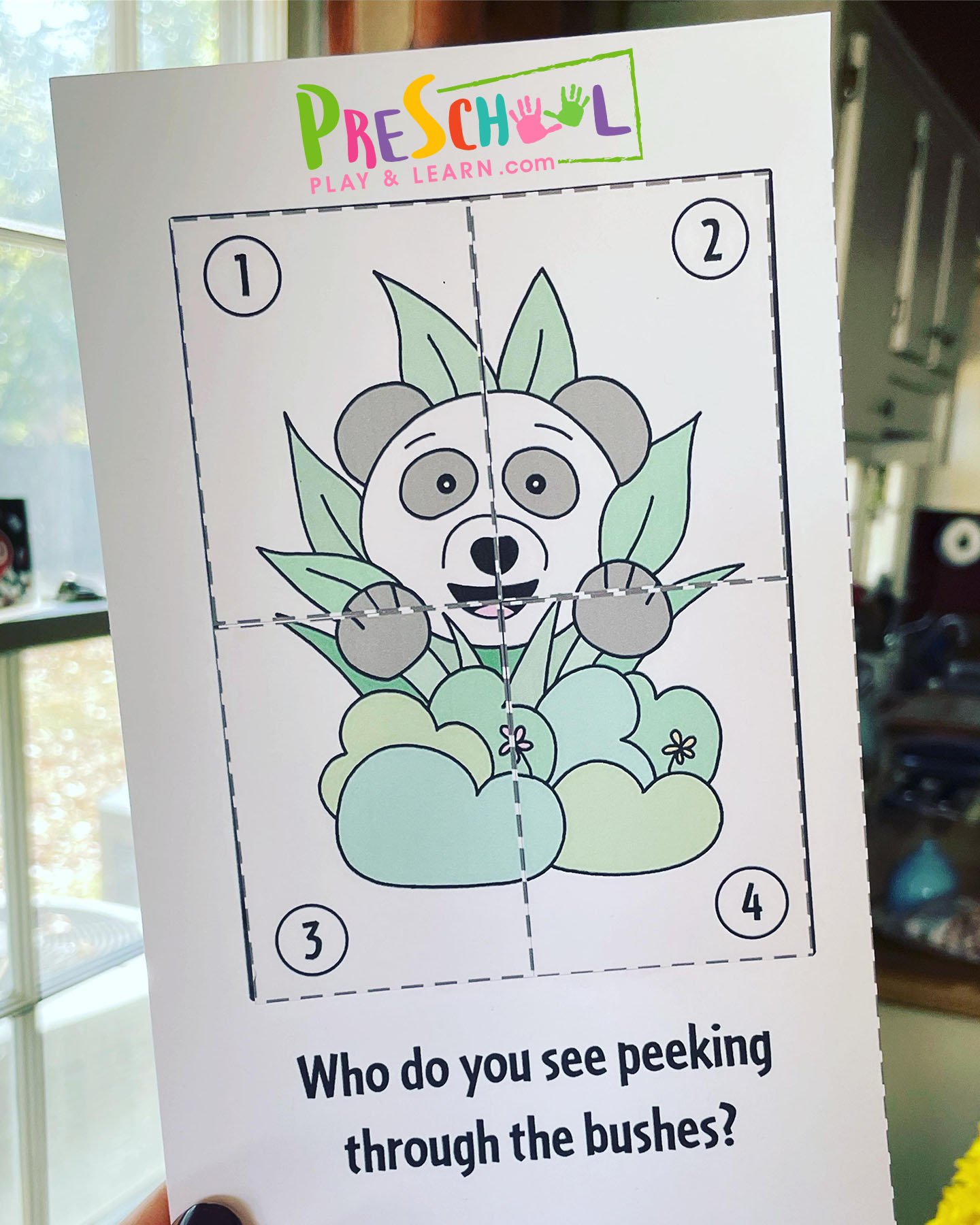 🐼 FREE Printable Panada Worksheets for Preschool