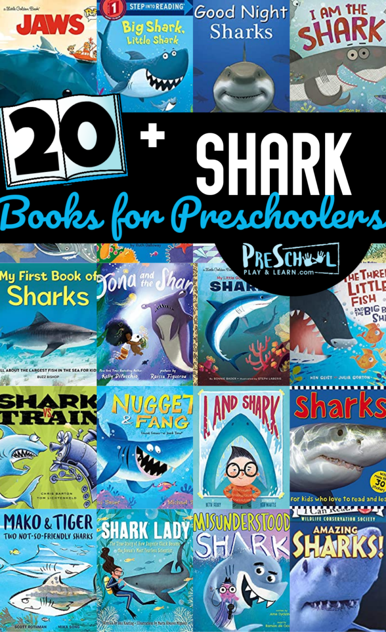 🦈 Shark Books for Preschoolers & Elementary Age Kids