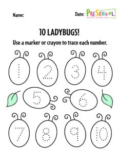 🐞 FREE Ladybug Printable Worksheets for Preschool
