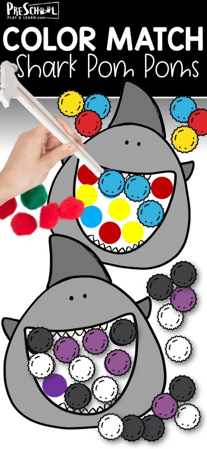 Shark Color, Sort, and Match Pom Pom Activity for Preschoolers