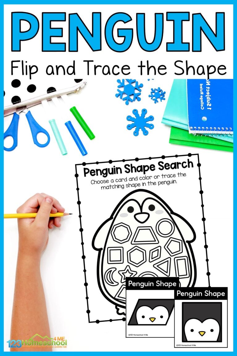 🐧 Penguin Sorting by Size Activity for Preschool: Big Medium Small