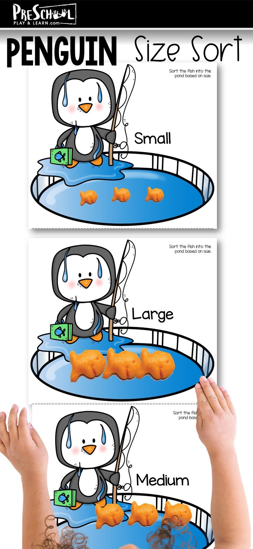 🐧 Penguin Sorting by Size Activity for Preschool: Big Medium Small