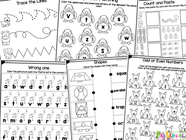 🐒🐘🦩 Free Printable Zoo Animals Worksheets for Preschool / Kindergarten