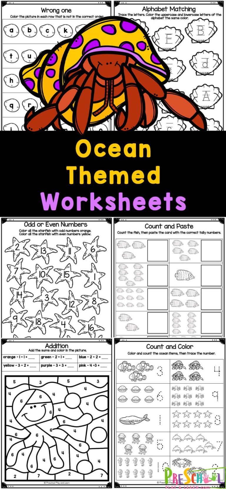 🐋 Ocean Animals Theme Worksheets for Preschool