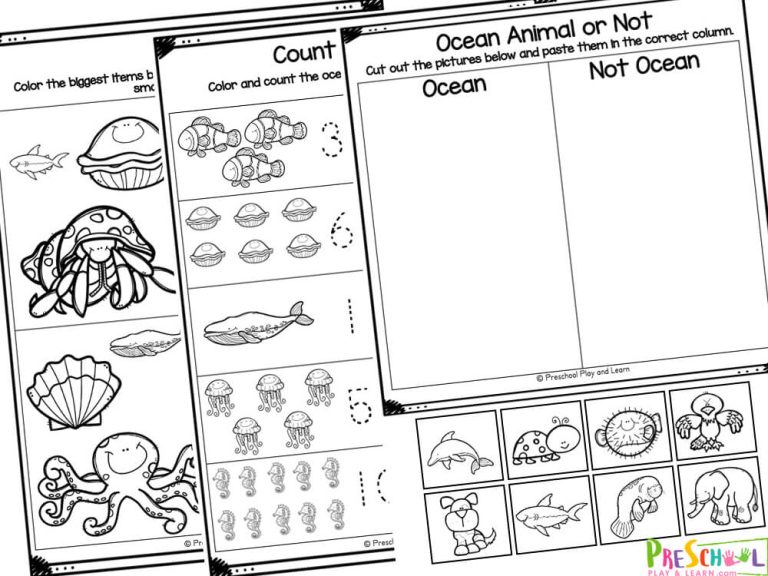 🐋 Ocean Animals Theme Worksheets for Preschool