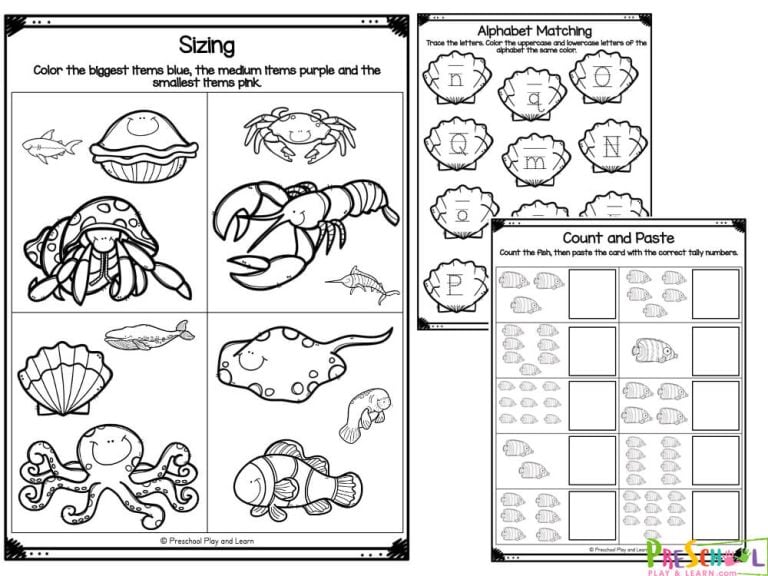 🐋 Ocean Animals Theme Worksheets for Preschool