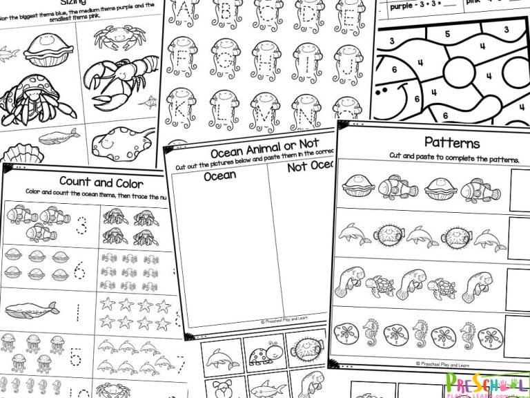 🐋 Ocean Animals Theme Worksheets for Preschool