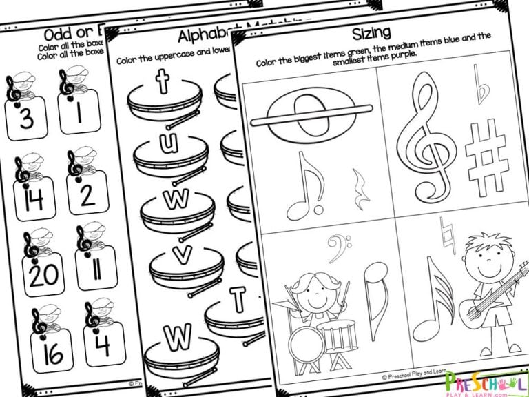🎶 Music Activity Sheets- Free Music Themed Worksheets