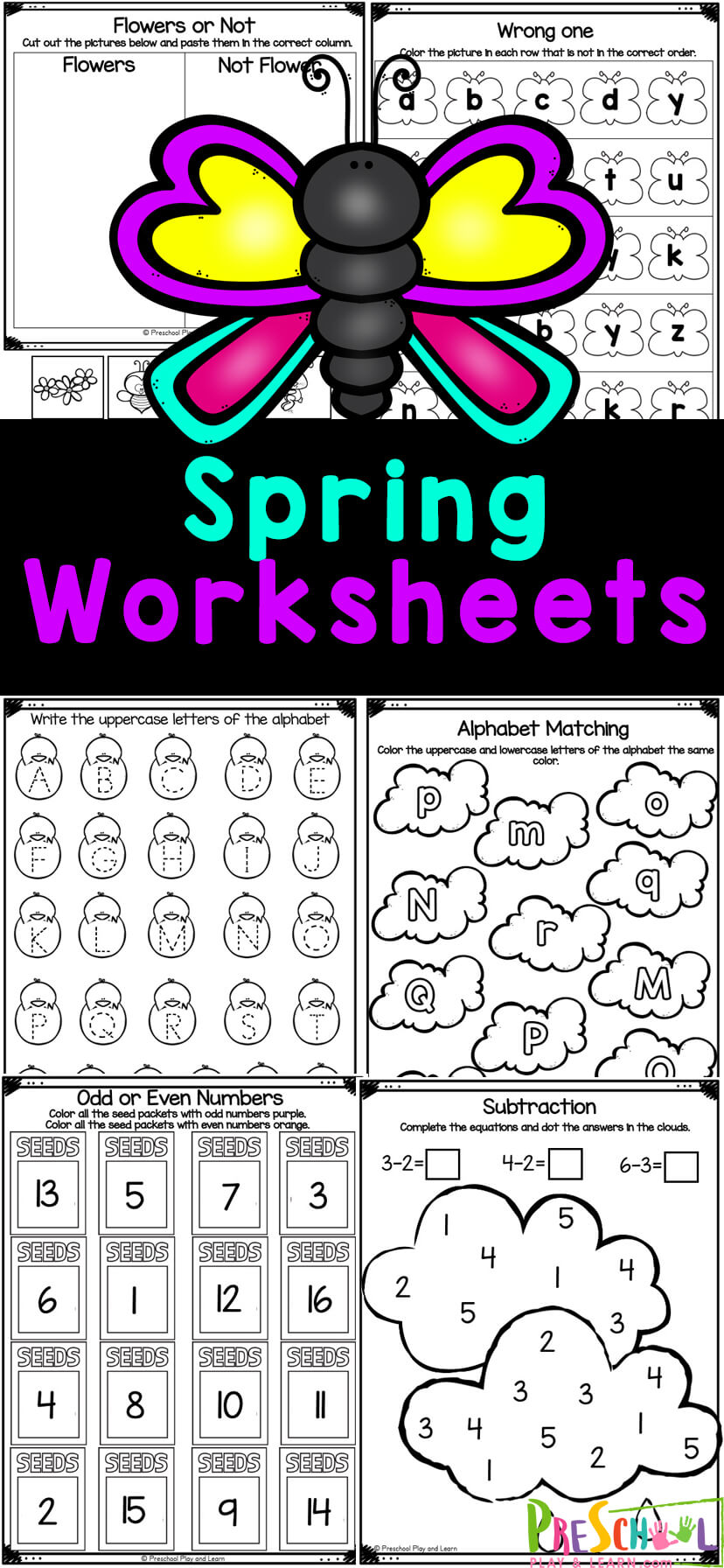 🌷 Preschool Spring Worksheets