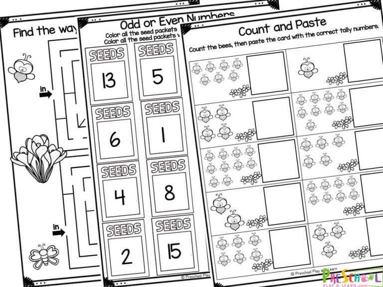 🌷 Preschool Spring Worksheets